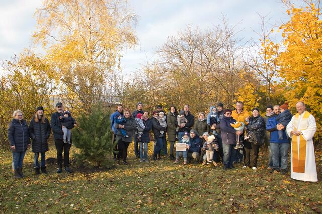Neudorf: Ein Baum als Symbol des Lebens - Mistelbach