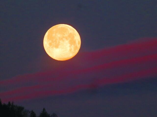 27. November: Warum der Vollmond jetzt Bibermond oder Nebelmond heißt