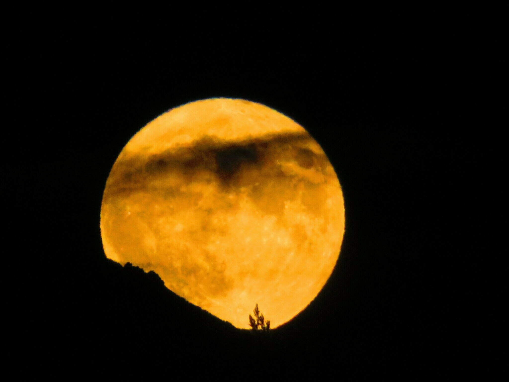 27. November: Warum der Vollmond jetzt Bibermond oder Nebelmond heißt