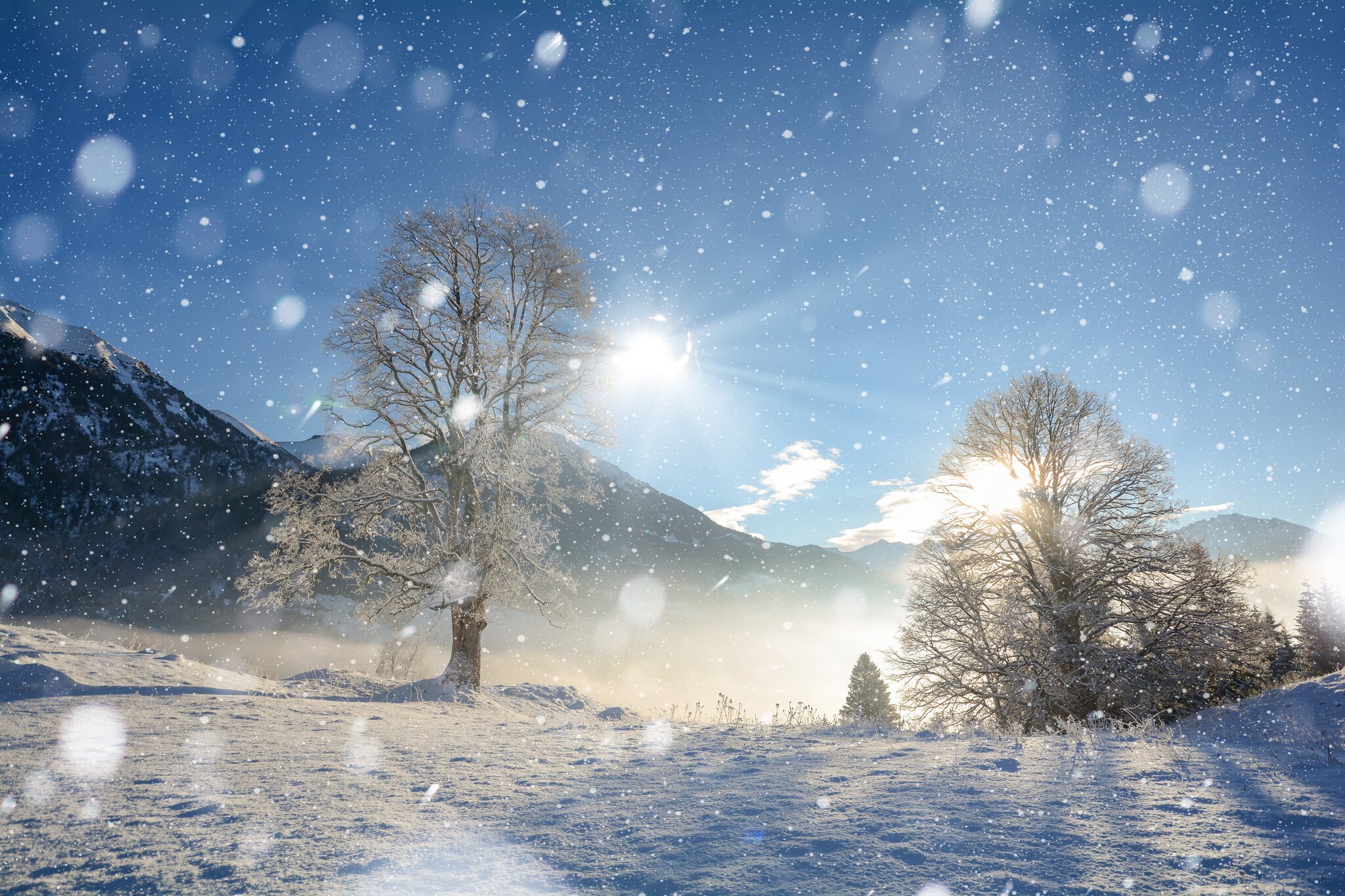 Meteorologe im Gespräch: Kommt der große Schneefall auch nach Kärnten ...