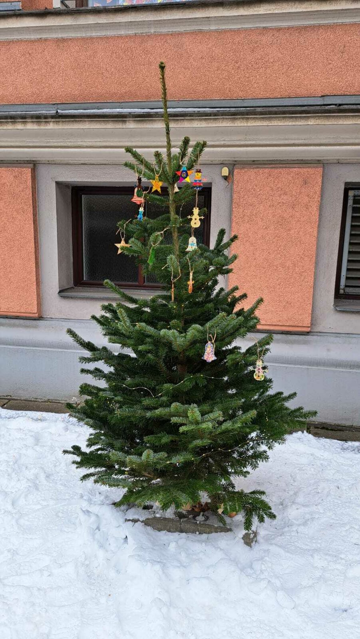 Advent in der VS Körner: "Sichtbar machen" mit besonderem Christbaum ...