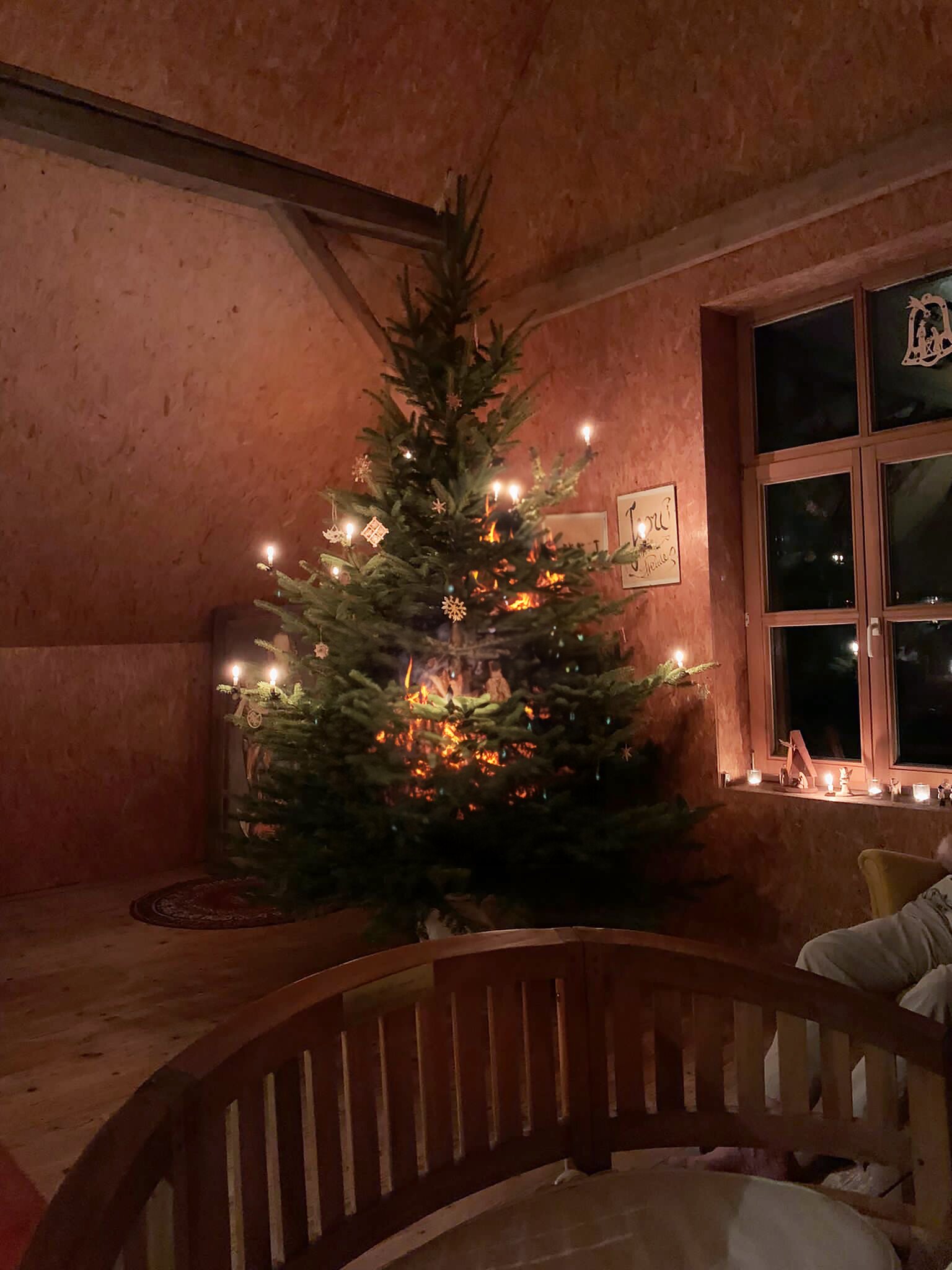 Wienerwald/Neulengbach: Advent, Advent .... der Christbaum brennt ...