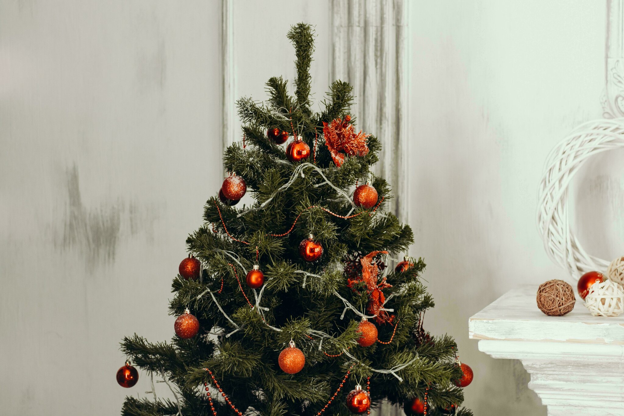17 Standorte: Hier kannst Du Deinen Christbaum in Favoriten kaufen ...