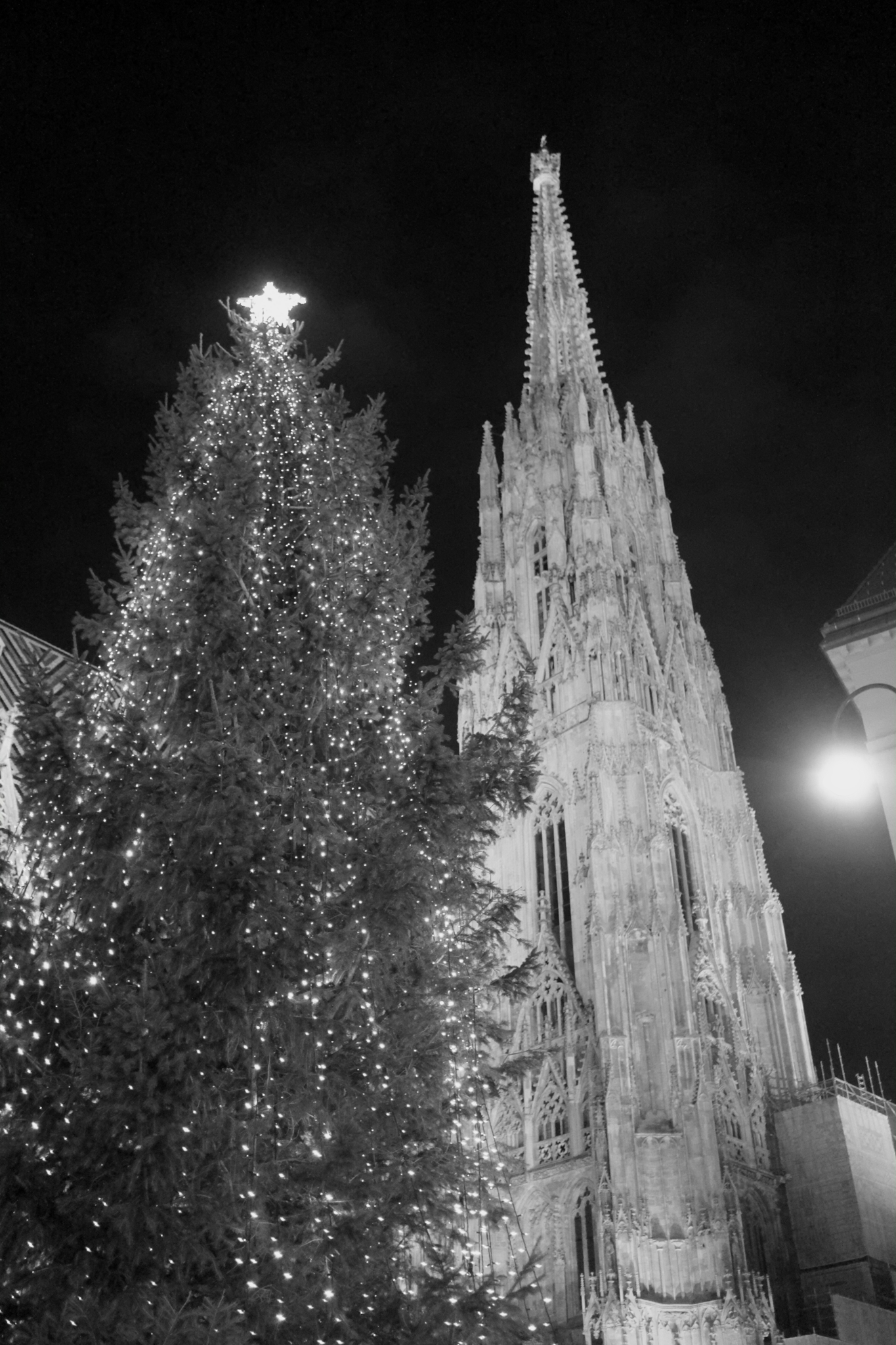 Fotostrecke in schwarz/weiß: Touristenströme in der Wiener City ...