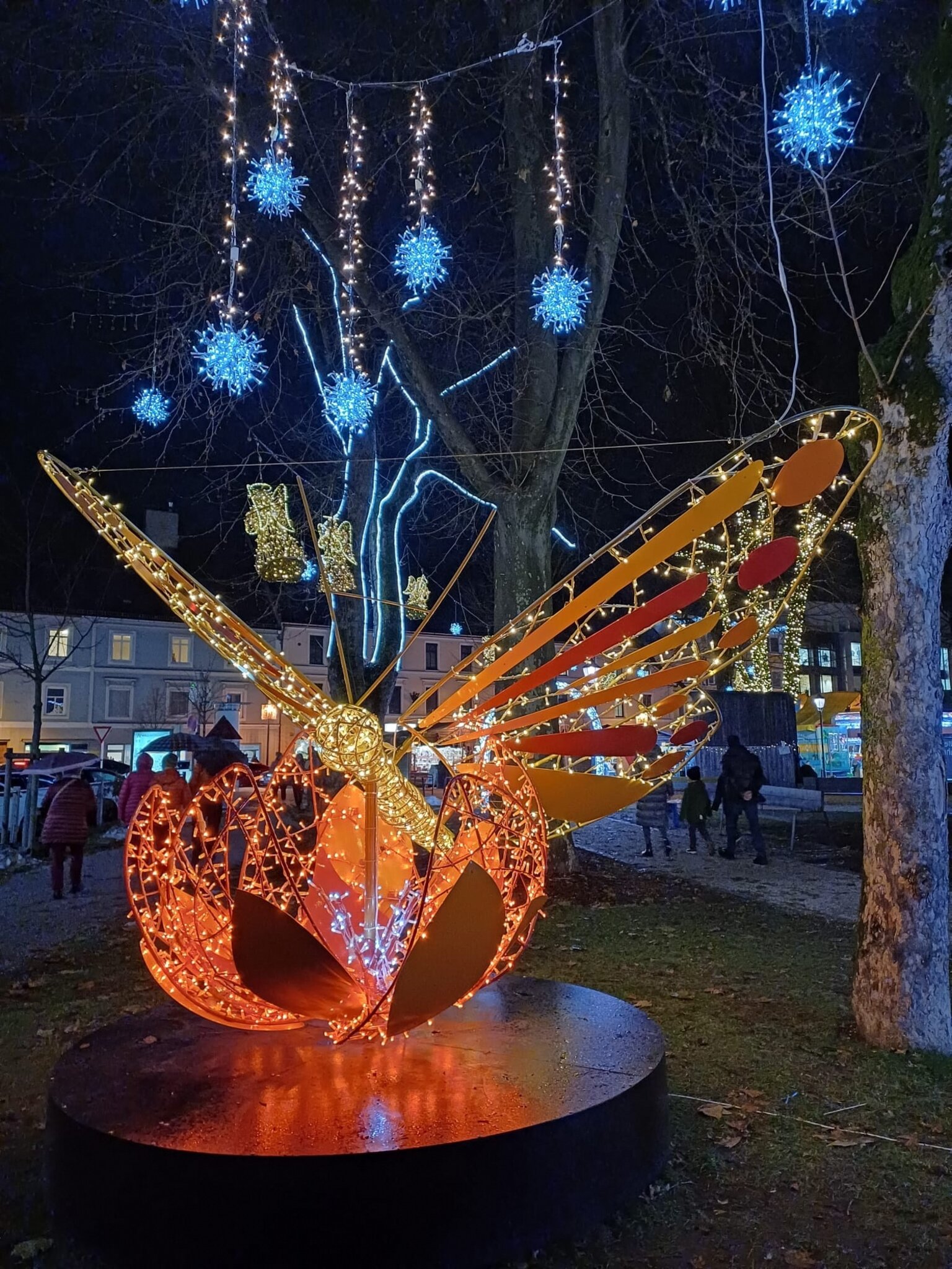 Advent Ausflug: Bergweihnacht Wels - Enns