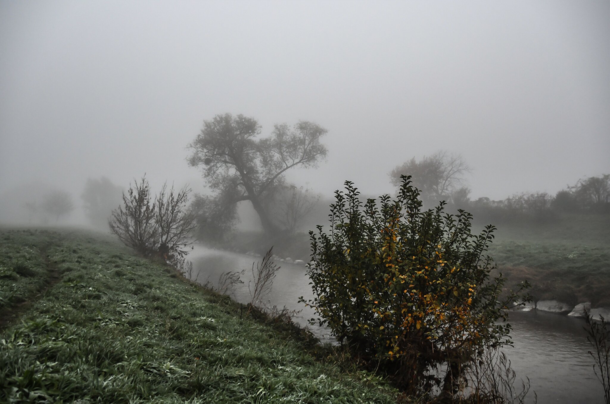 Regnerisch und windig: So wird das Wetter am Freitag im Burgenland ...