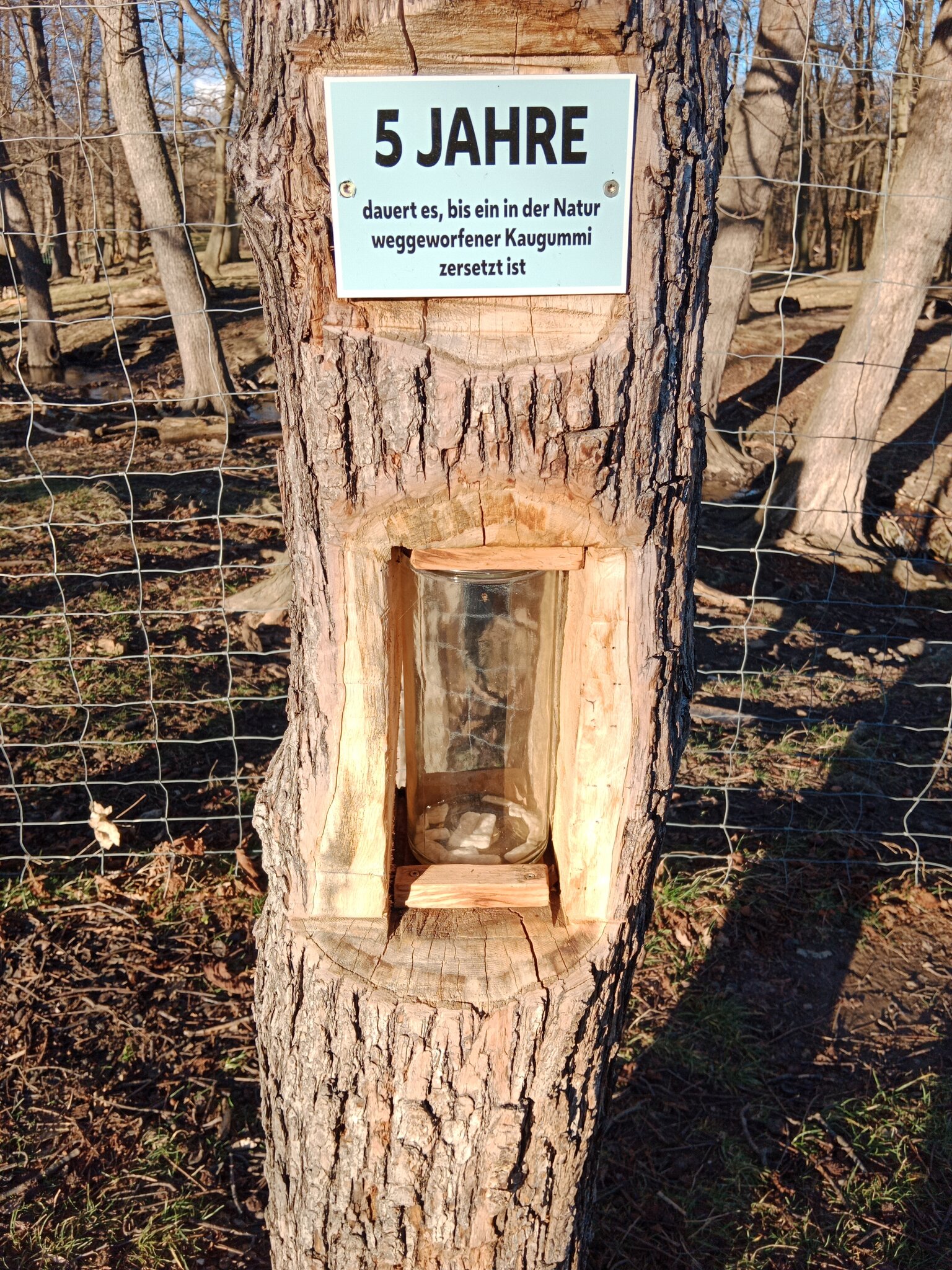 Lainzer Tiergarten: Neues Lernen im Lainzer Tiergarten - Liesing