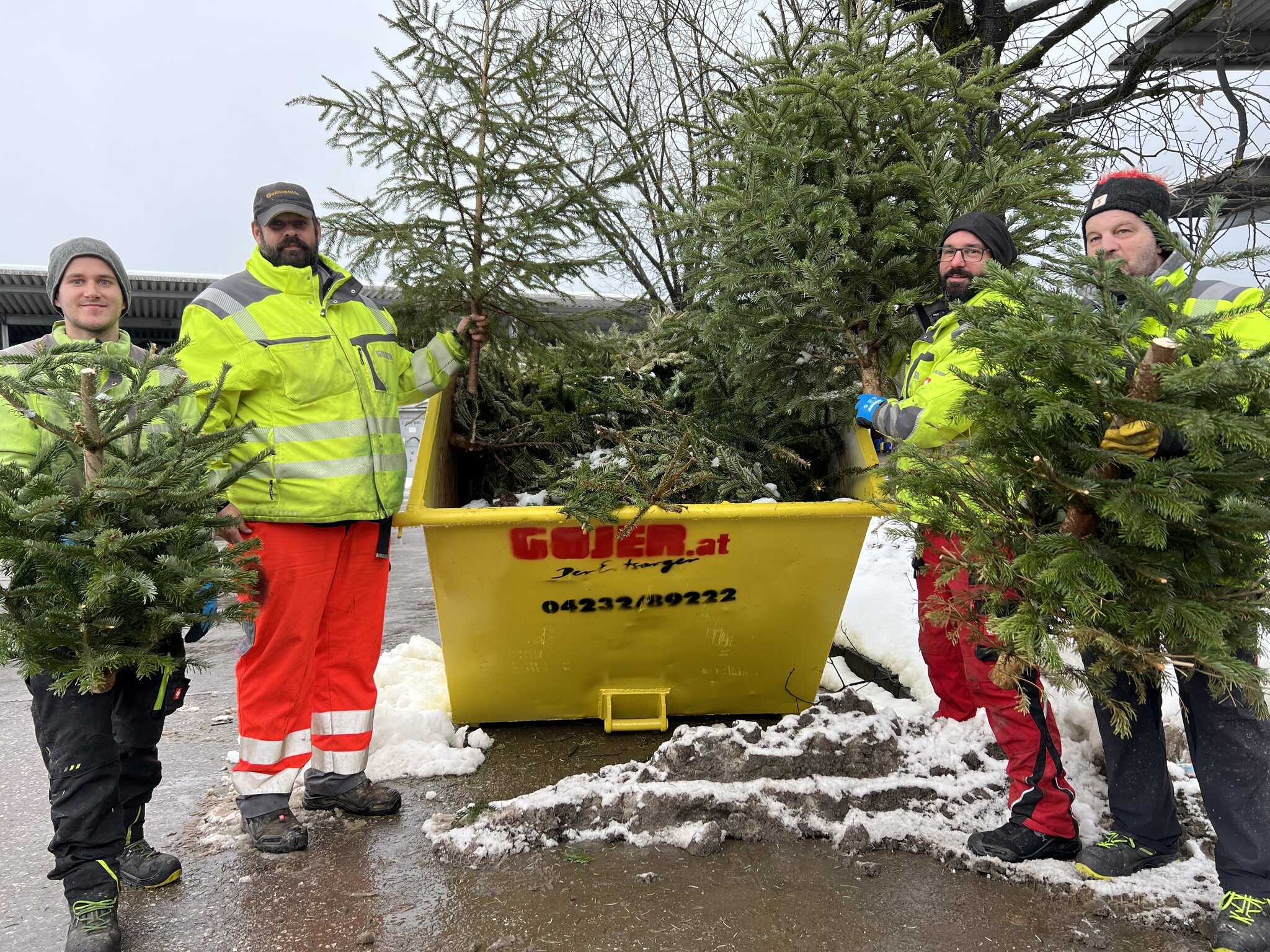 Kühnsdorf: Gojer sammelt wieder Christbäume für einen guten Zweck ...