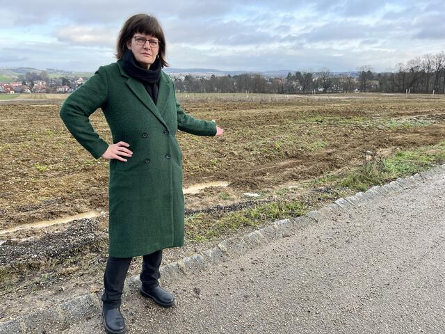 Tannenweg in Hollabrunn: Grundverkauf gegen die eigenen Regeln - Hollabrunn