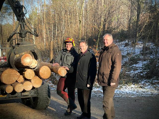 Mit der LK auf Lokalaugenschein: Holz als wichtiger Wirtschaftsfaktor ...