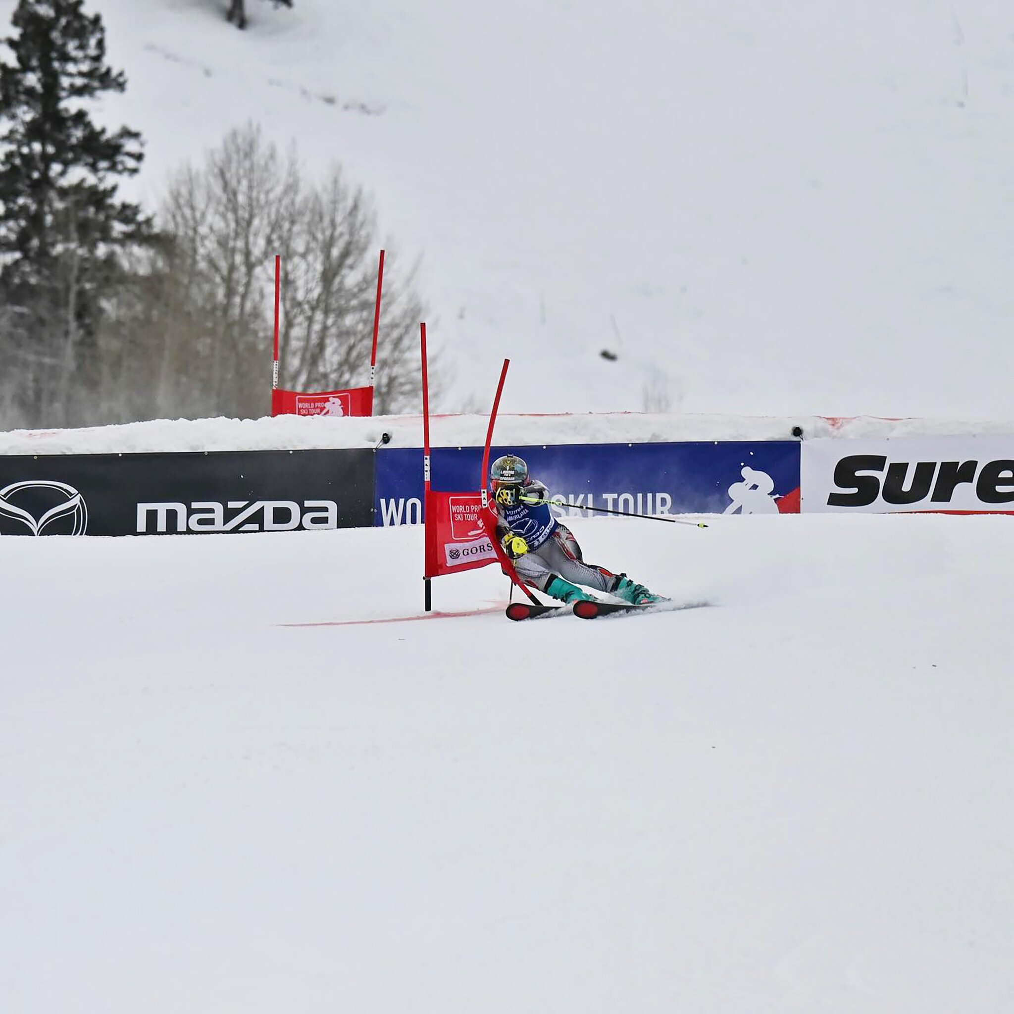 Pitztal Ski-Ass weilt derzeit in der Heimat: Mit Aspen war Simon nicht ...