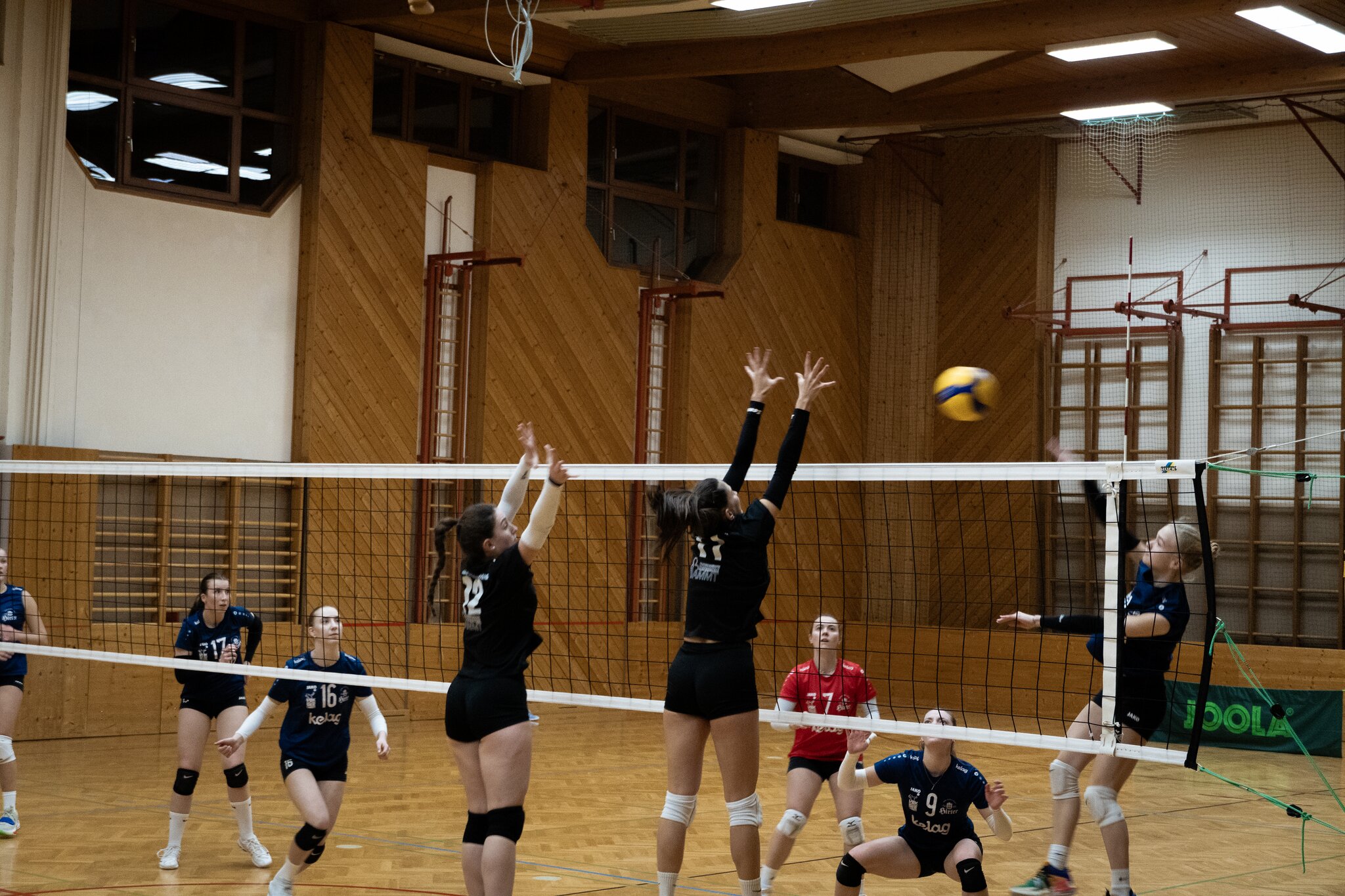 Volleyball: Eine Machtdemonstration und der maximale Aufstiegswille ...