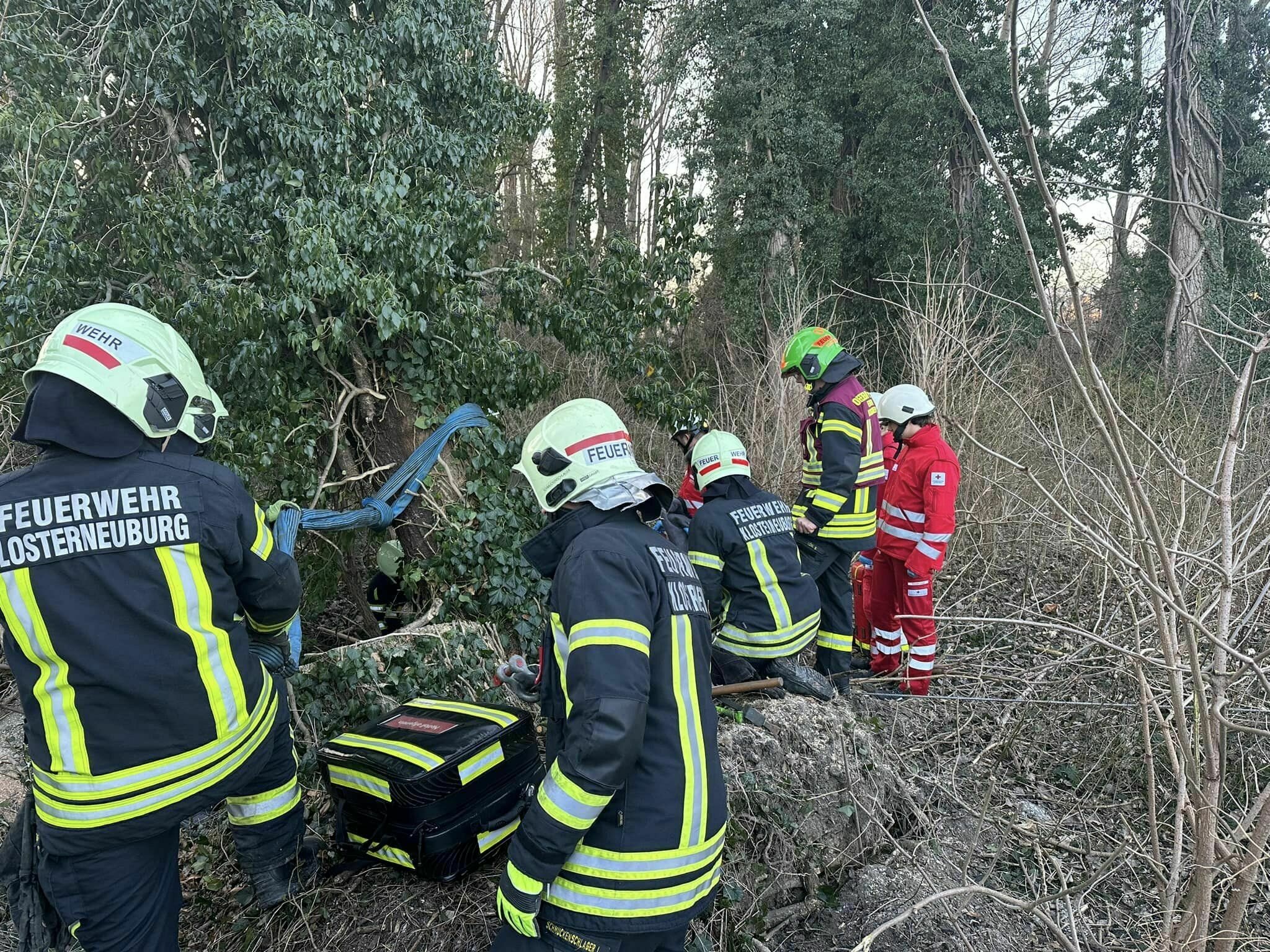 Forstunfall: Einsatz zur Menschenrettung in der Au Klosterneuburg ...