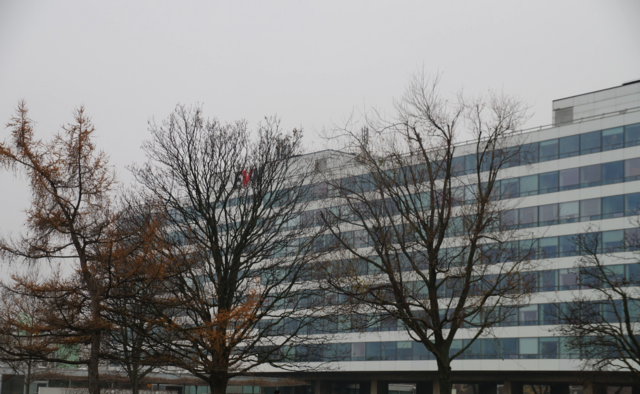 Alexandra Wittmann wird CFO: EVN stellt neues Vorstandsmitglied vor ...