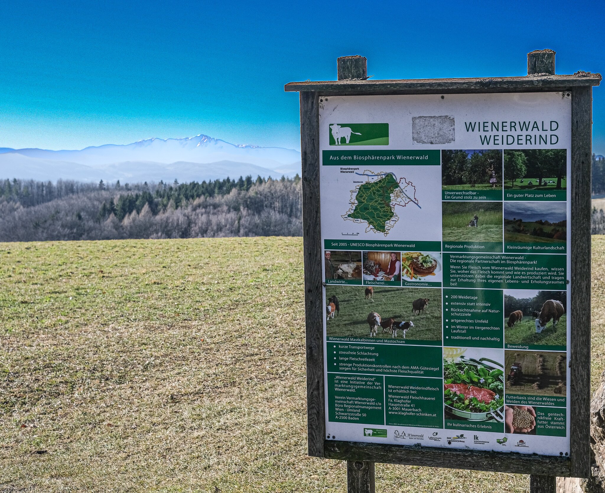 Wanderung von Sulz zum Höllensteinhaus: Wienerwald Wanderung - Baden