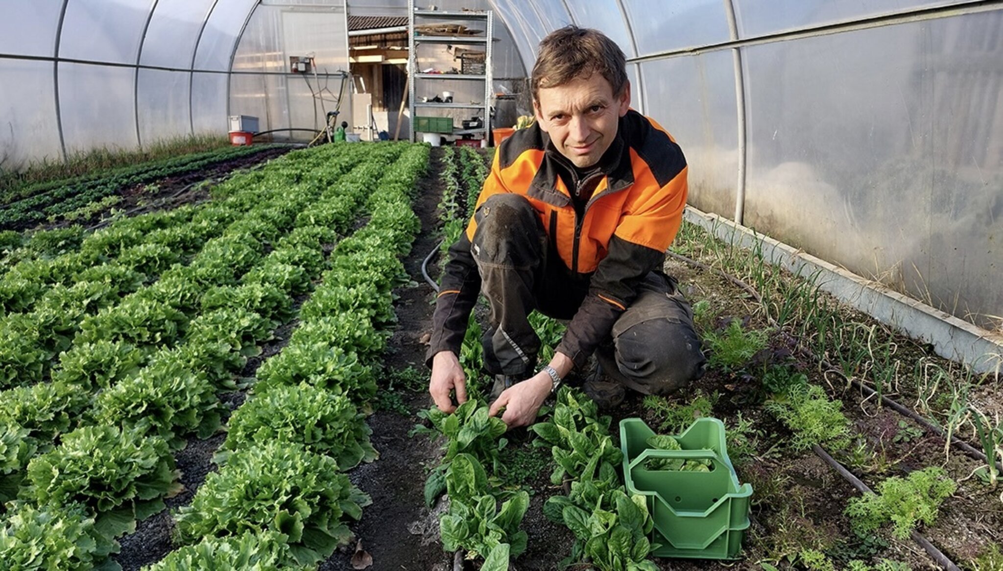 Marktfahrer bereit: Perger Wochenmarkt startet am 1. März in die neue ...