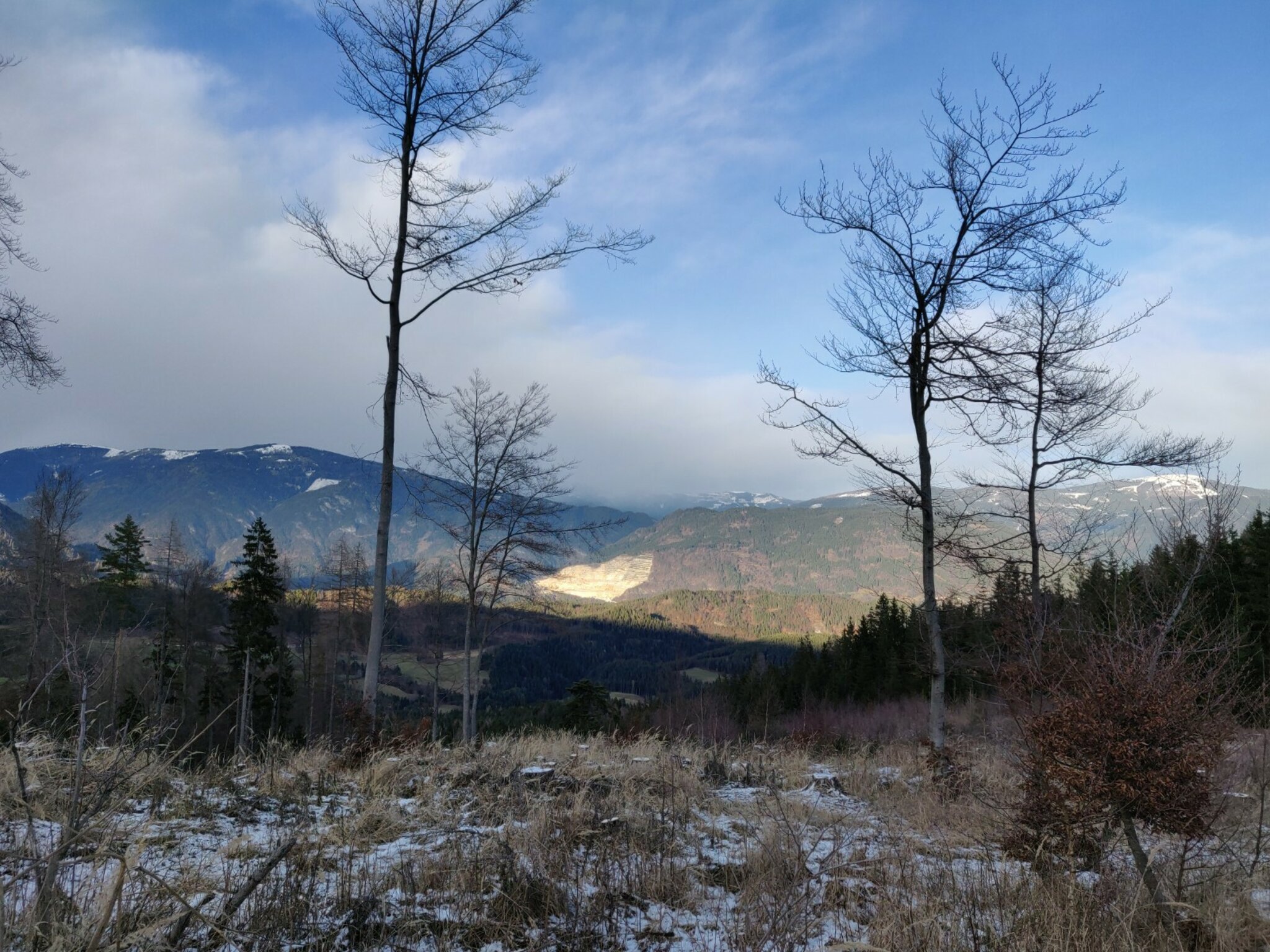 Bilderbuch - Lebensfreude: Mein Herz schlägt für die Region - mein Lebenselixier Wald! - Villach