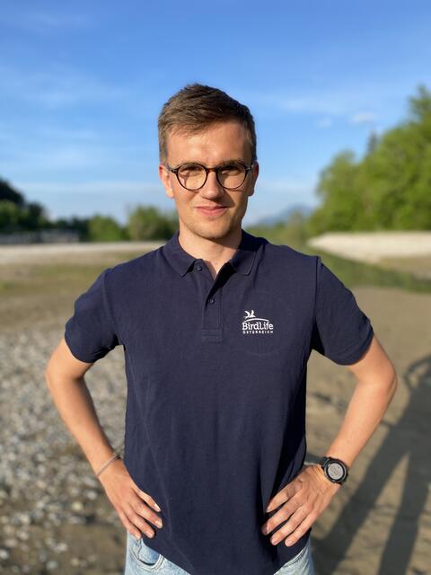 Ein sehr früher Frühling: Die Zugvögel bleiben "daheim" - Salzburg-Stadt