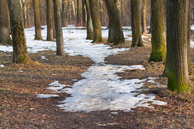 Temperaturrekorde gebrochen: Österreich steuert auf Rekordwinter zu