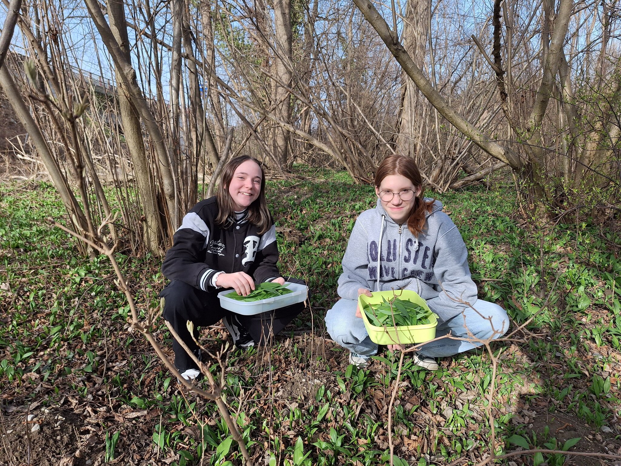 Frühlingsboten: Welche Frühlingsboten kennen,- lieben und sammeln Sie? - Herzogenburg/Traismauer