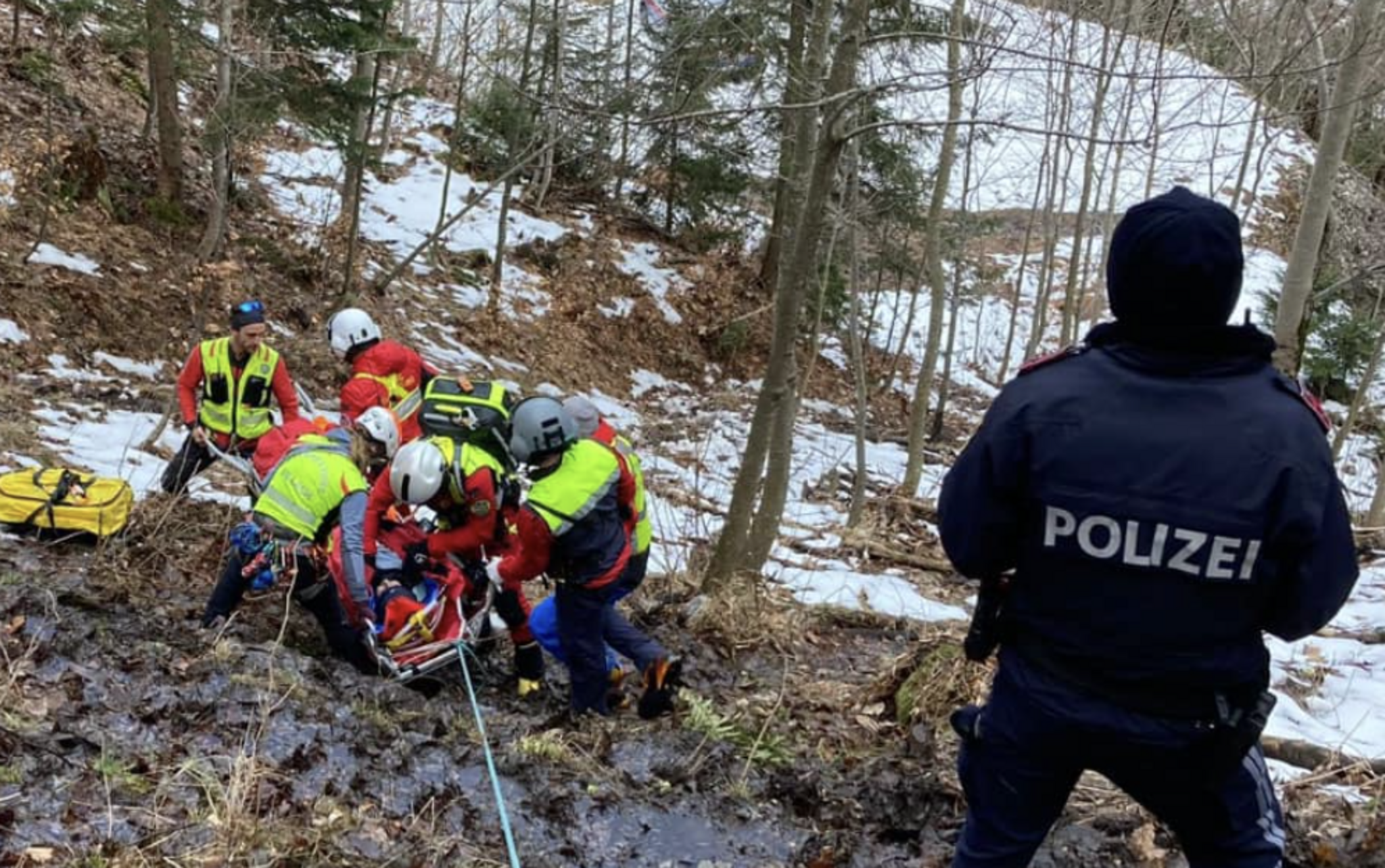 Hilferufe: Wanderer entdeckte entkräfteten Syrer (14) in Waldstück ...