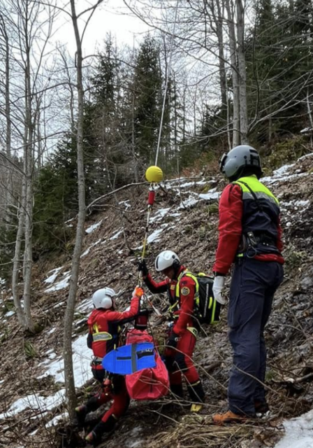 Hilferufe: Wanderer entdeckte entkräfteten Syrer (14) in Waldstück ...