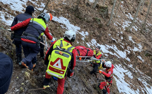 Hilferufe: Wanderer entdeckte entkräfteten Syrer (14) in Waldstück ...