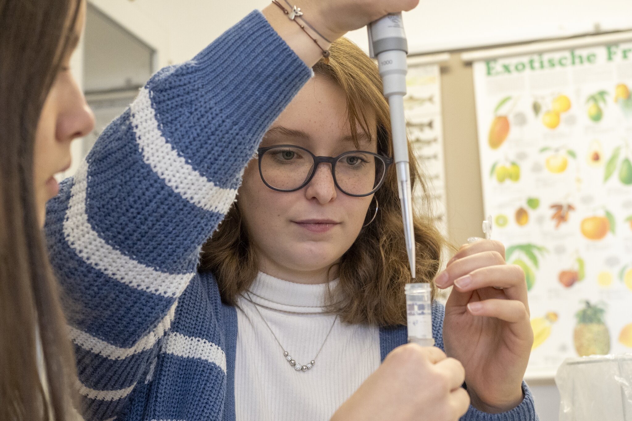 Am Gym: Klassisch-sozial, „Viech“ oder Mongole – die Gene geben ...