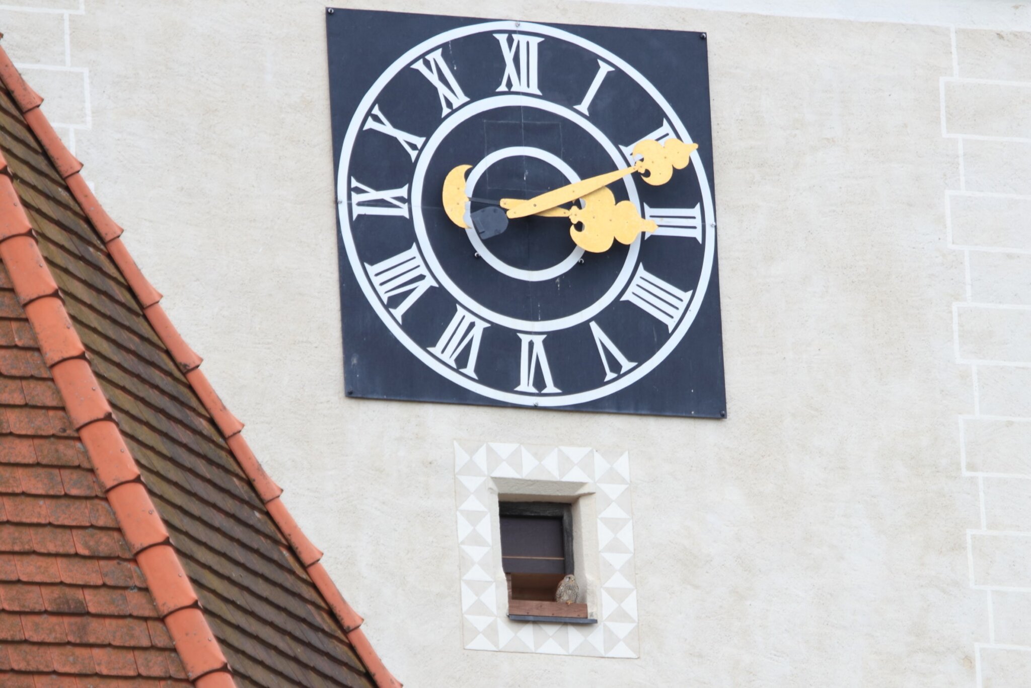 Naturschutzbund OÖ: Nisthilfe für Turmfalken am Turm der Wartberger ...