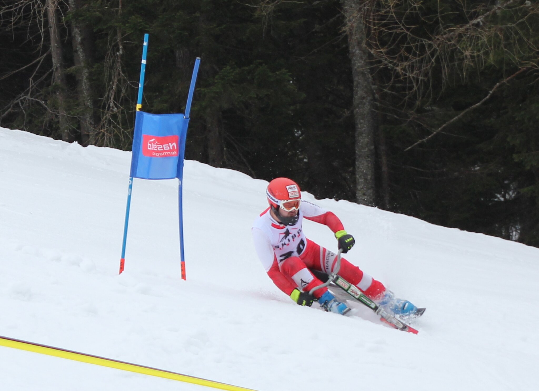 Jubel für Michael Moser im Skibob: GROßER JUBEL ÜBER 7. PLATZ IM GESAMT ...