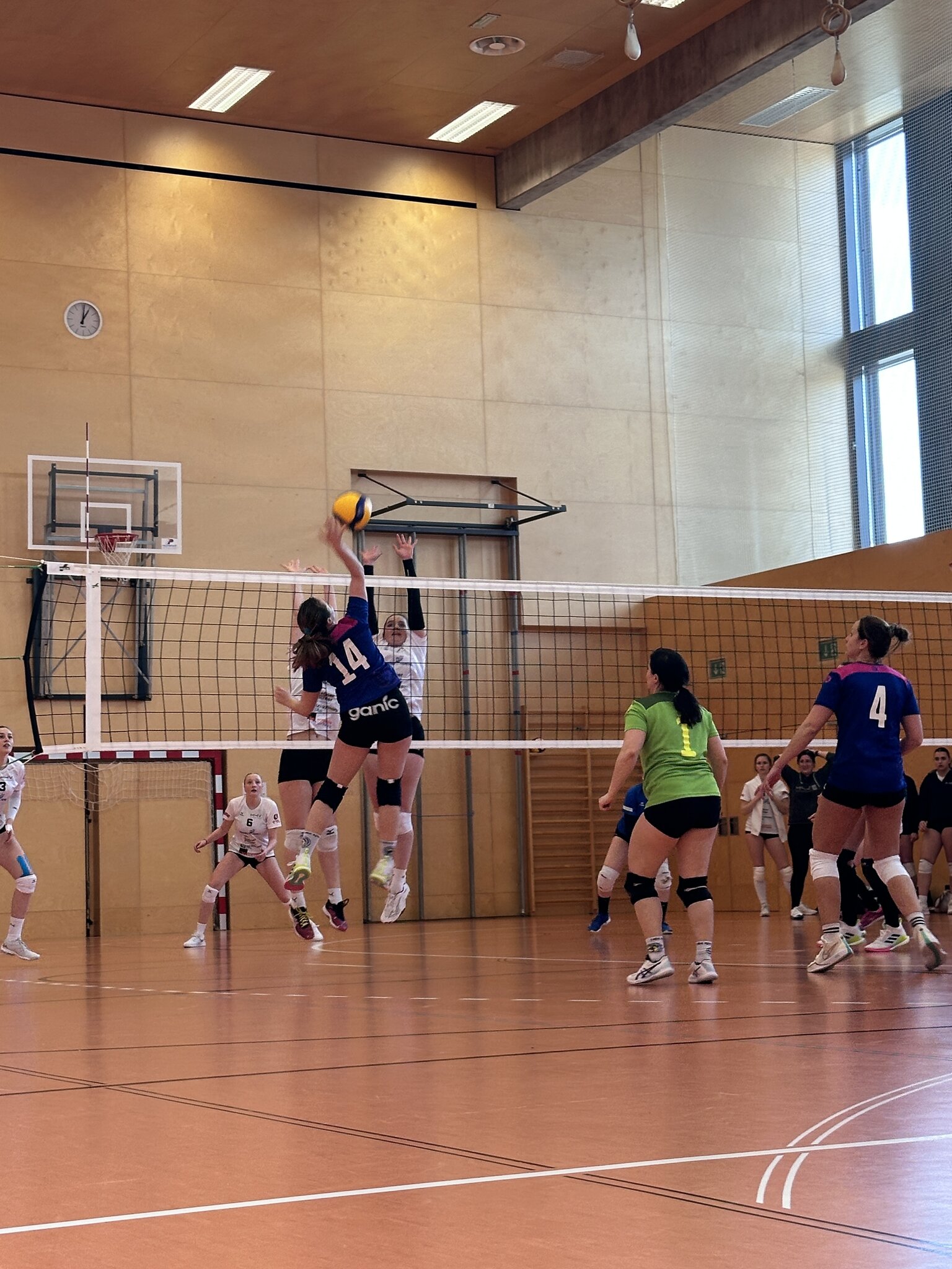 Bitteres Volleyball-Wochenende - Grieskirchen & Eferding