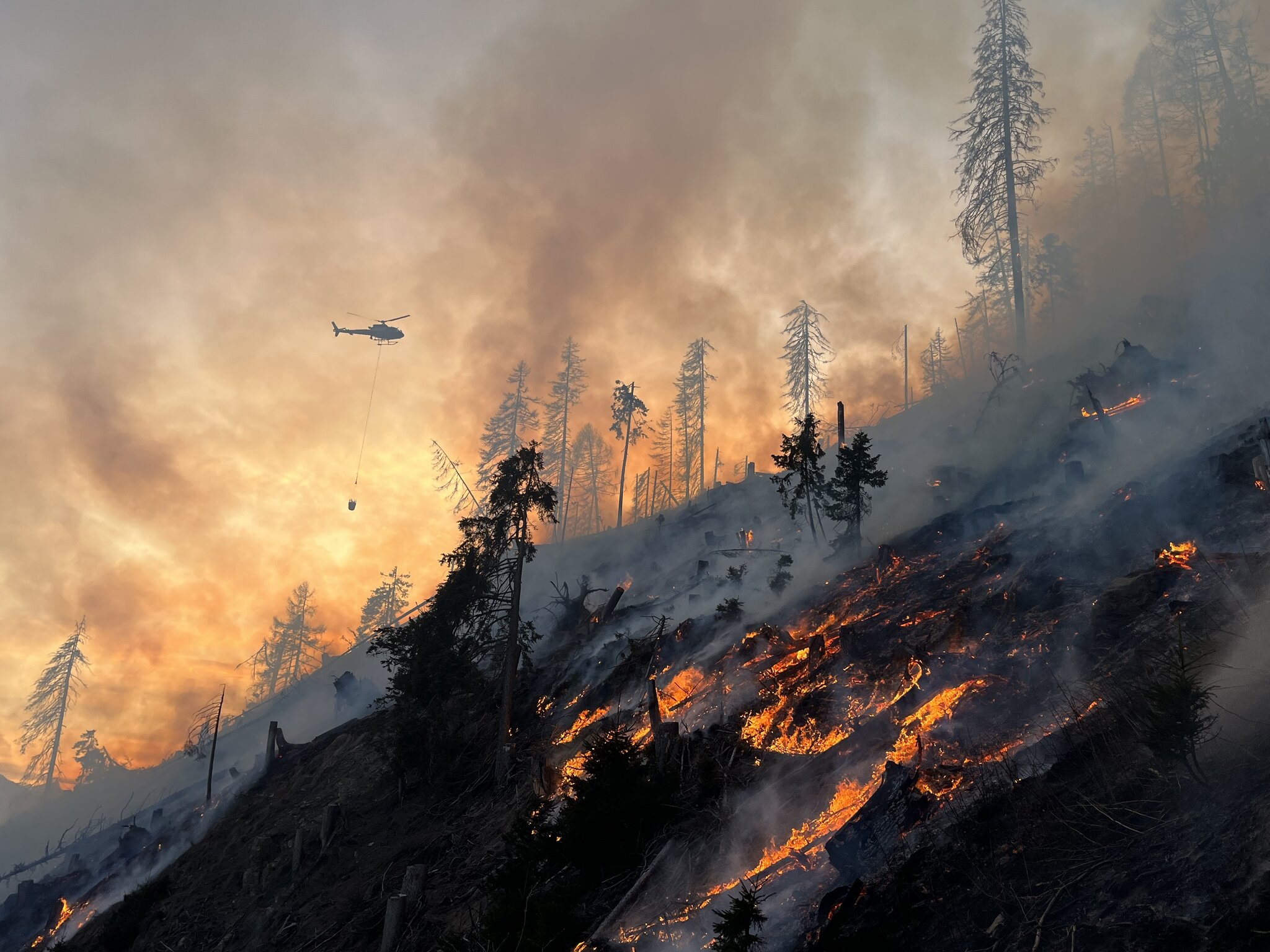 Zwei Tage Einsatz: Waldbrand in Sillian hielt Feuerwehren auf Trab ...