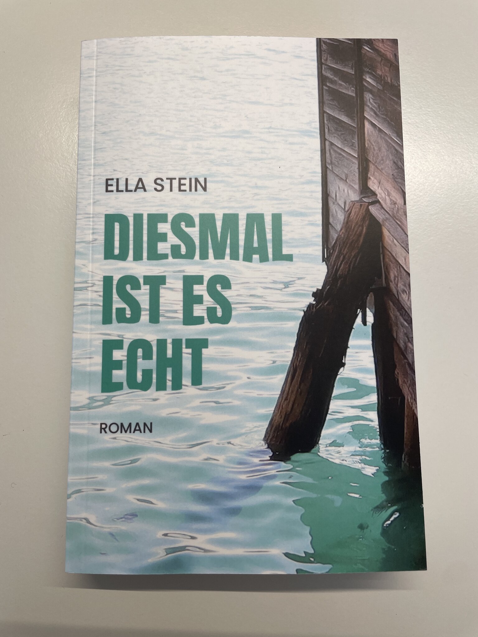 Neuer Roman von Ella Stein: Eine Geschichte, die die Leser packen wird ...