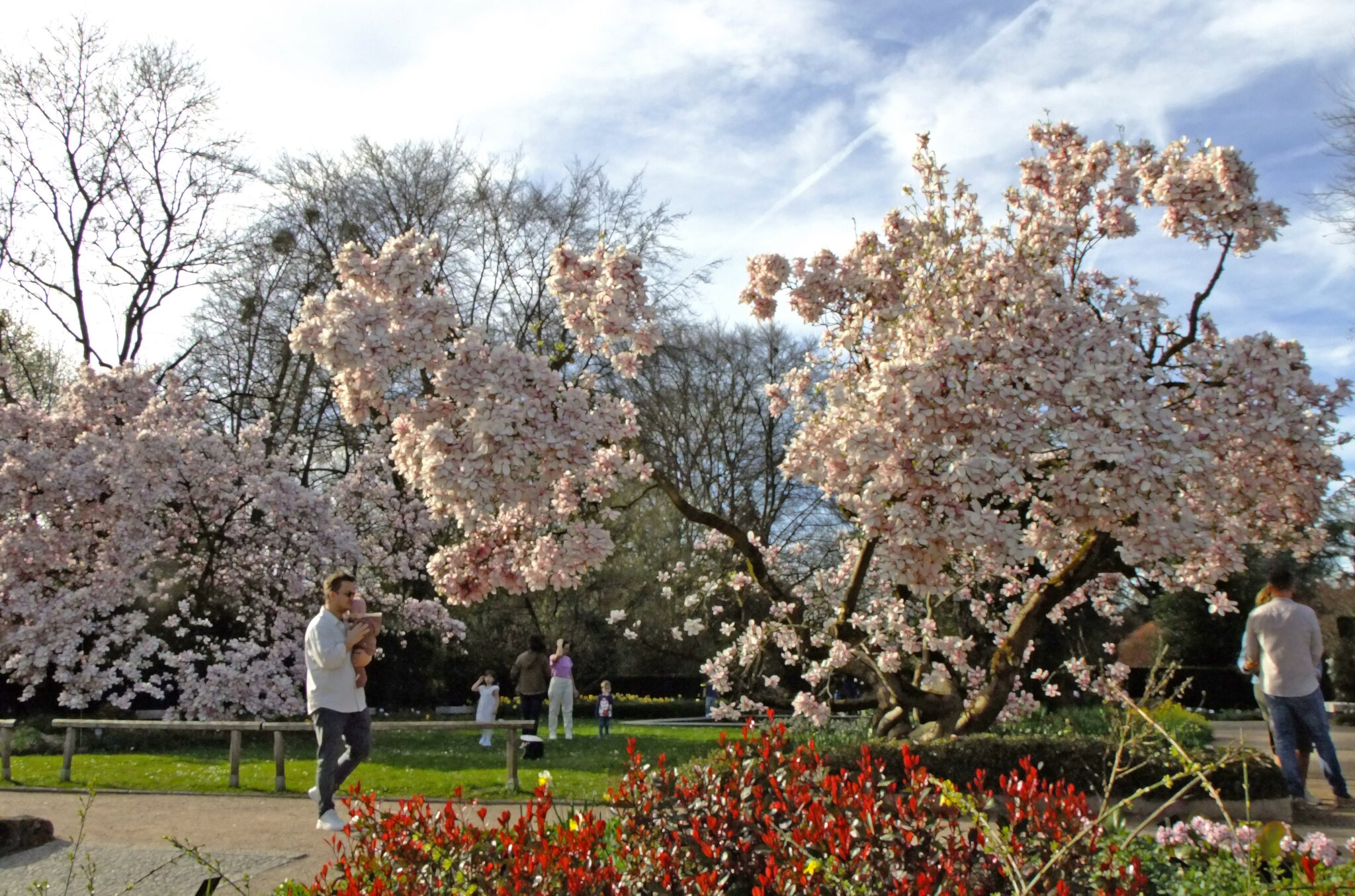 Botanischer Garten Linz: Zauber der Natur - Linz