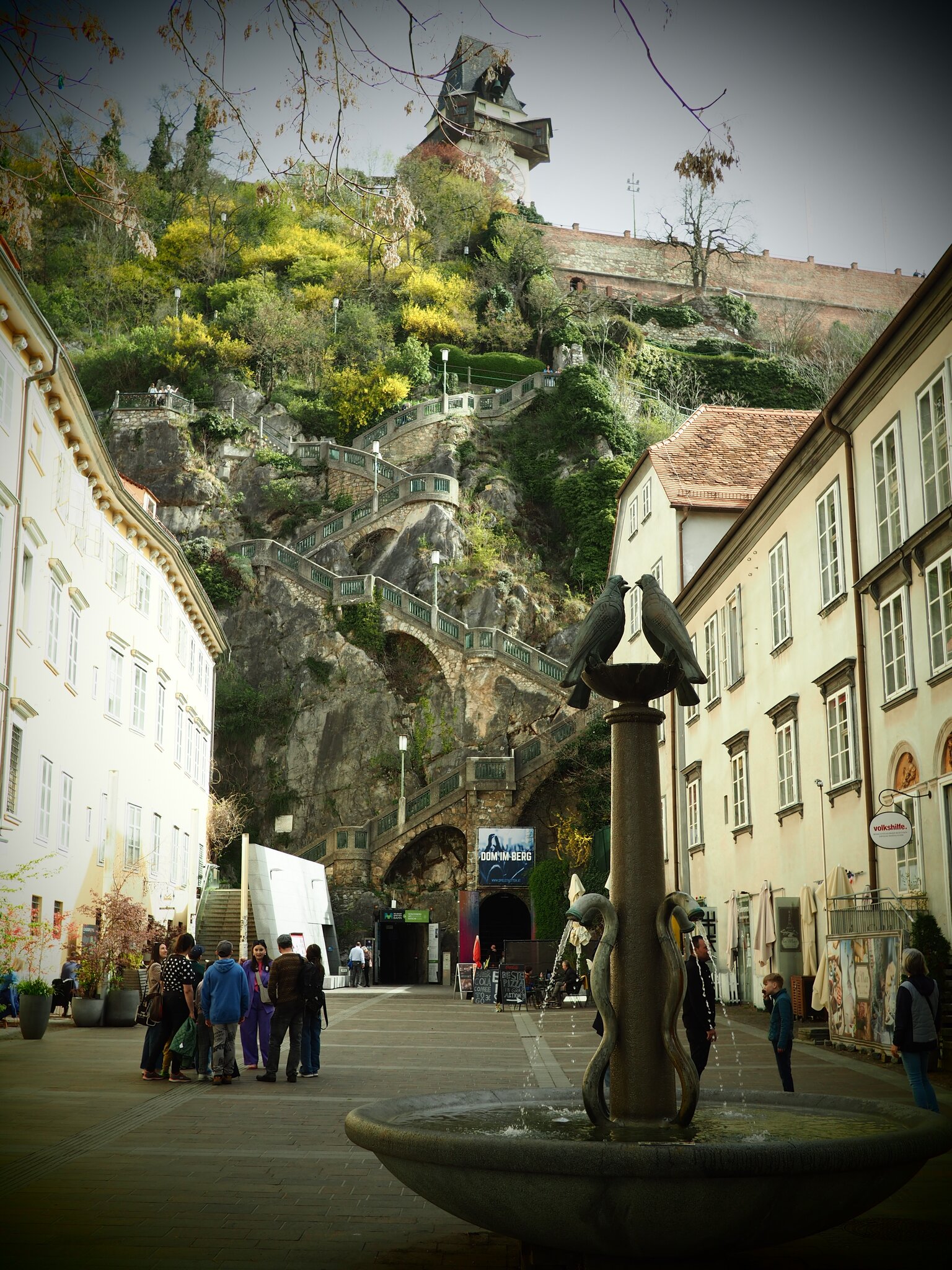 Schlossberg Stiege Graz: Frühlingsblumen an der Schlossberg Stiege - Graz