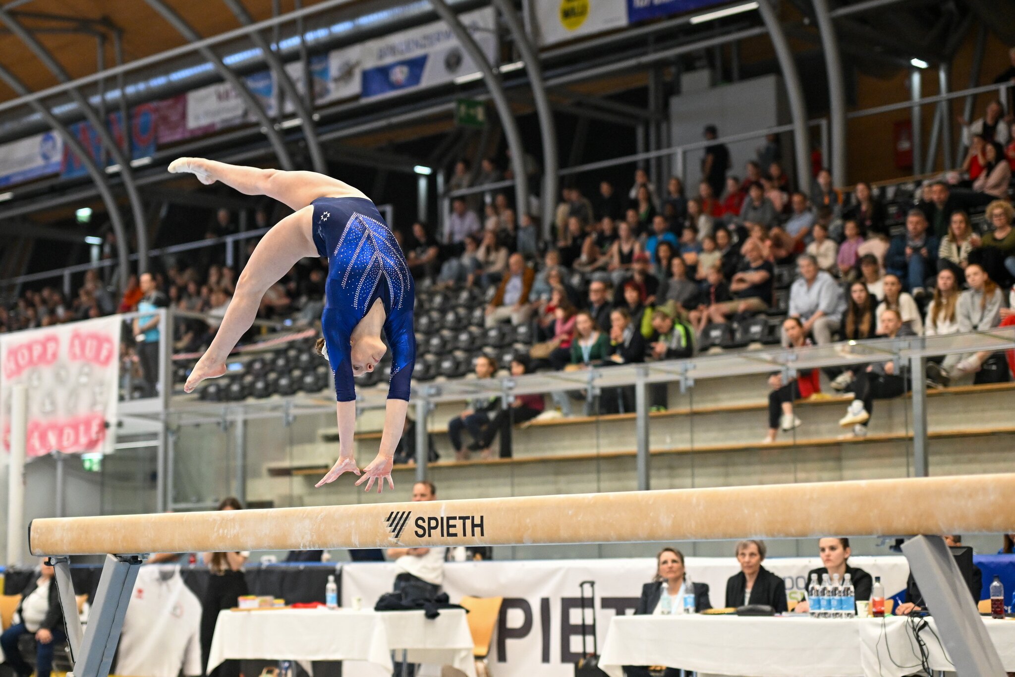 Kunstturn-Staatsmeisterschaften 2024: Sportler zeigten ihr Können - Niederösterreich