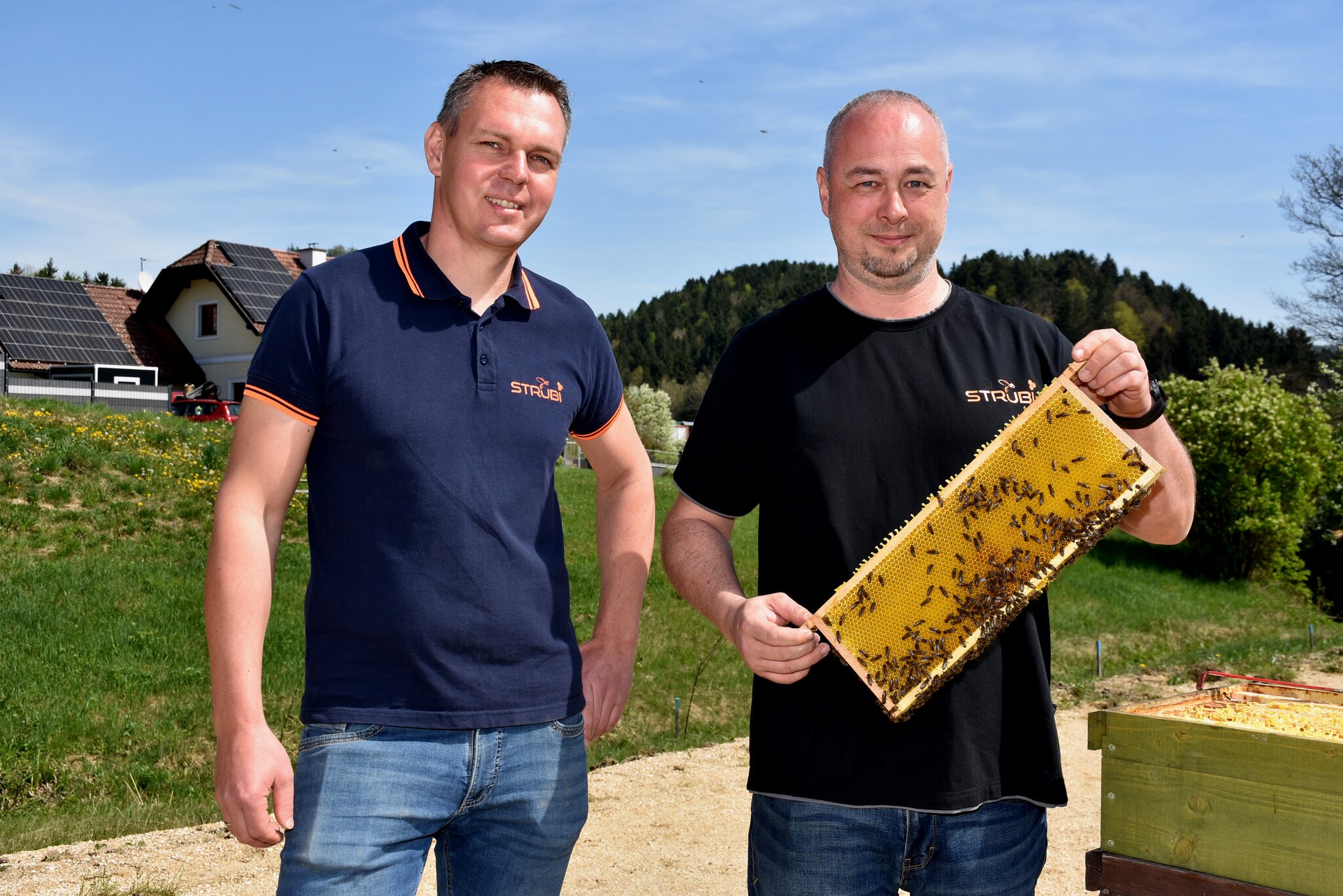 Strubi: Strudengauer Bienenwelt eröffnet - Perg