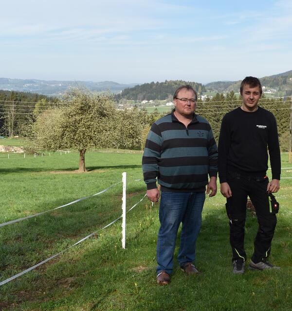 Wolf im Bezirk Rohrbach: Wer fürchtet sich vor dem Wolf? - Rohrbach