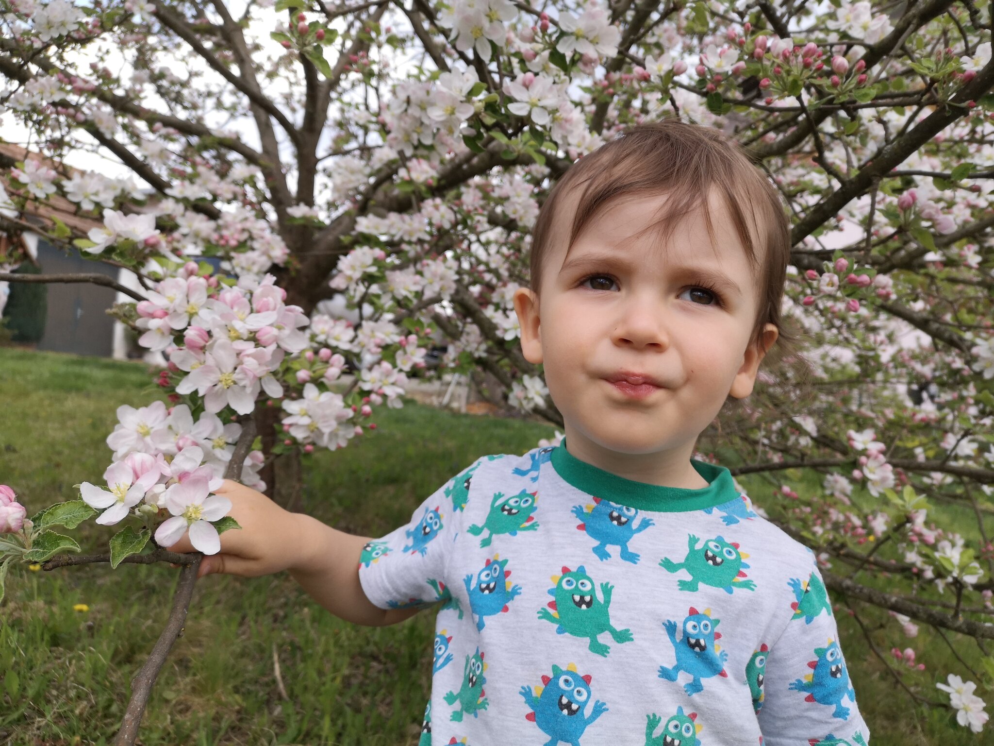 Albersdorf/Prebuch: Apfelblüten- Wandertag am 21. April in Prebuch an ...