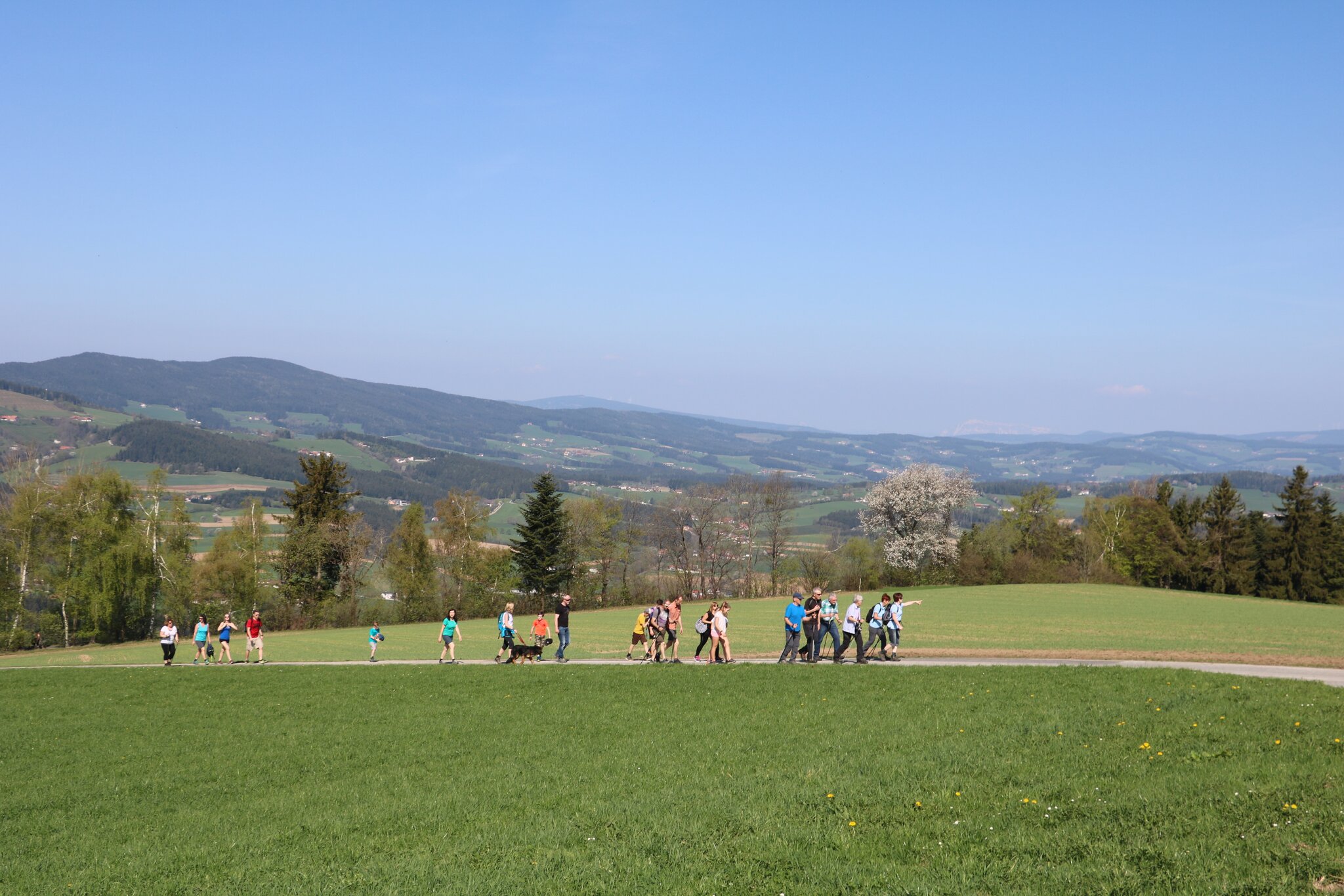 Vorau - Vorholz: Auf "Schusters Rappen" durch Vornholz wandern ...