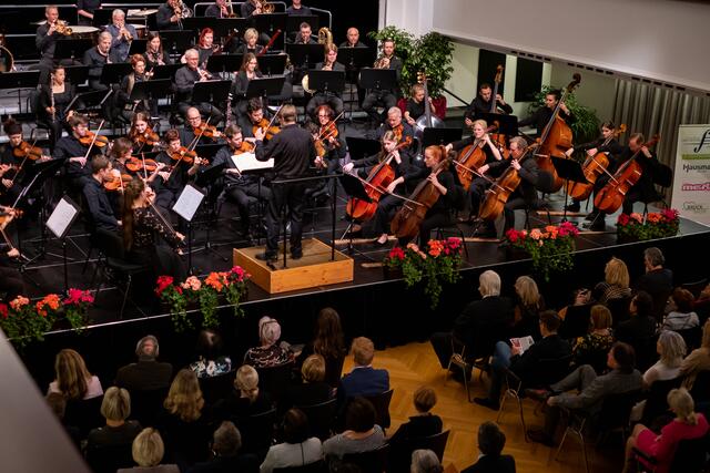 Haydn-Orchester Bruck an der Mur: Frischer Wind weht im Joseph Haydn ...