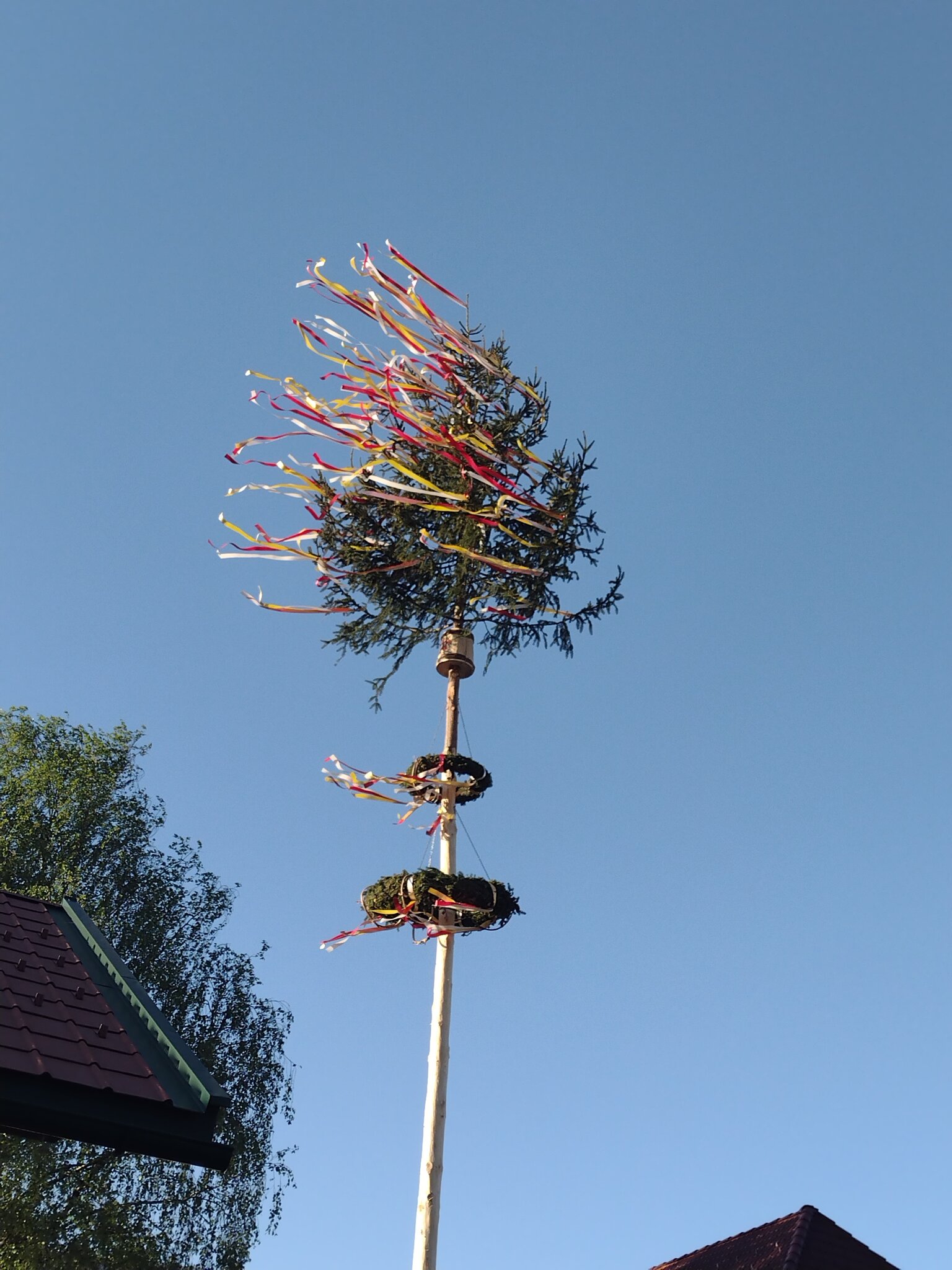 Maibaum: Erster Mai - Gailtal