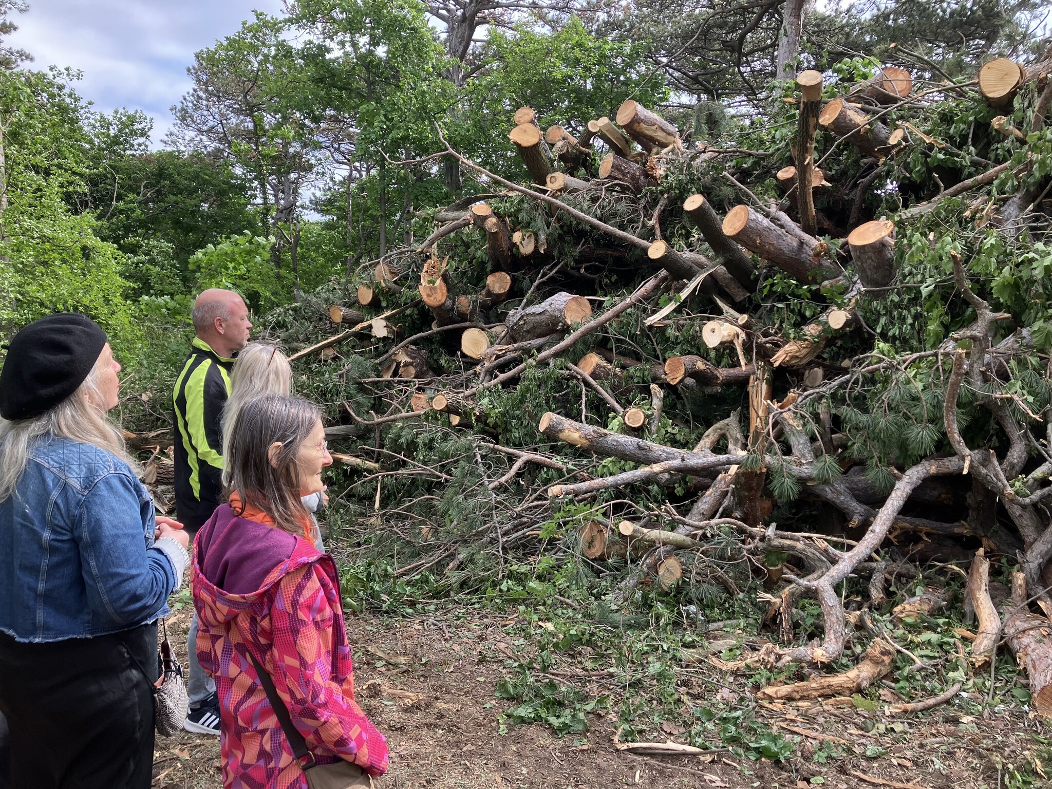 Dr. Sigmund Stransky-Straße in Bad Vöslau:: Erschütterung über ...