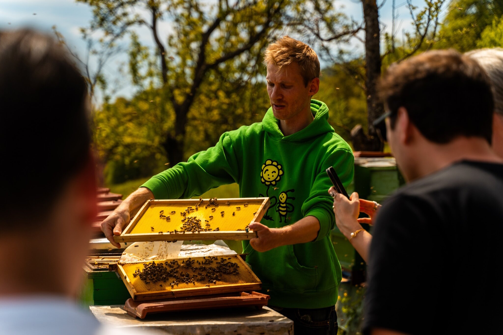 "Jack’s Bees": Jack Daniel's und Bio Imkerei Gruber arbeiten zusammen ...