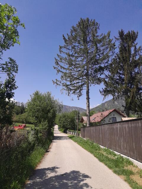 Wandern im südlichen Niederösterreich: Am Bahnwanderweg zwischen ...