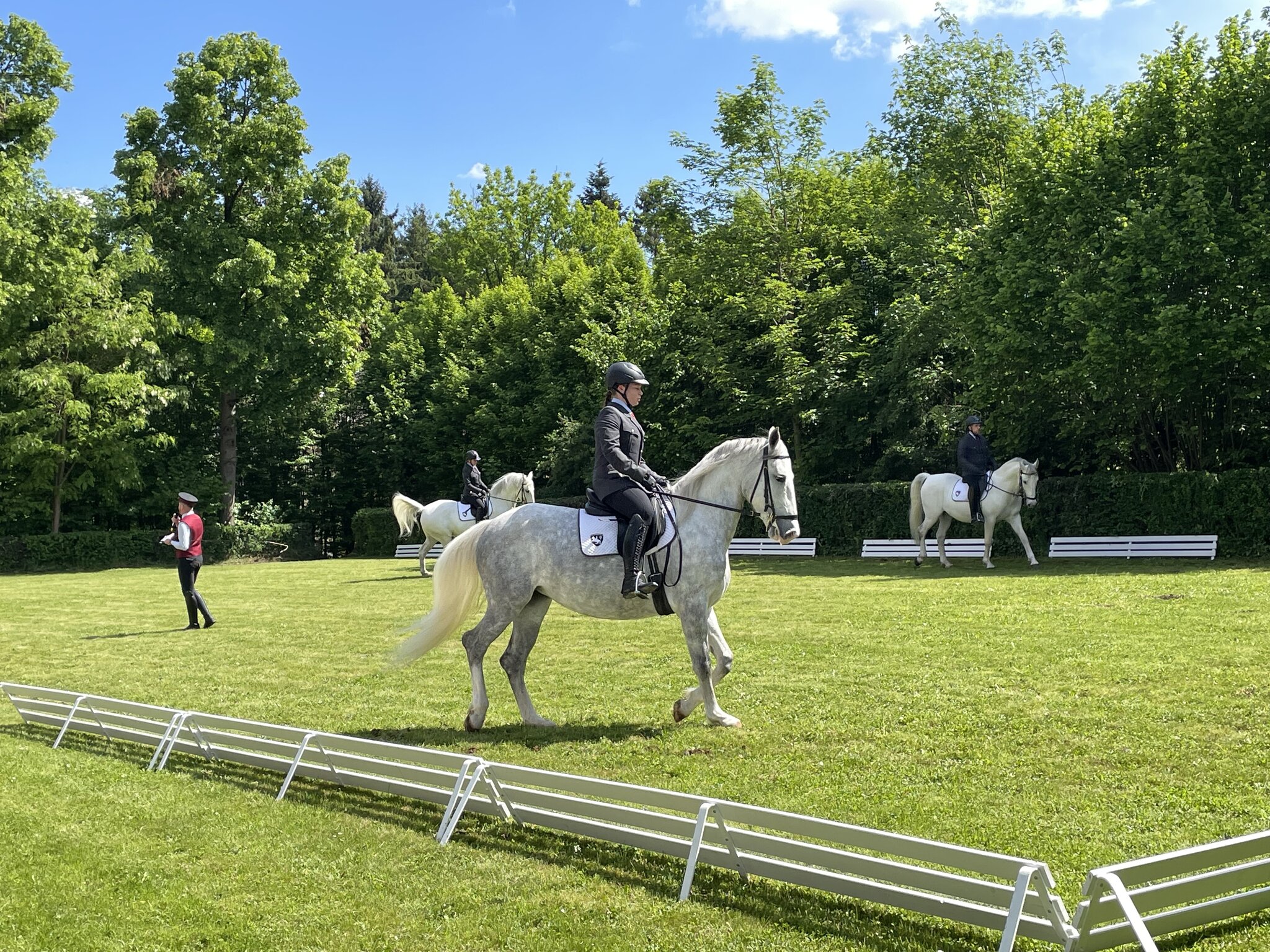 Neue Frühlingsgala im Gestüt: "Lipikrax" heißt der Kletterpark in Piber ...