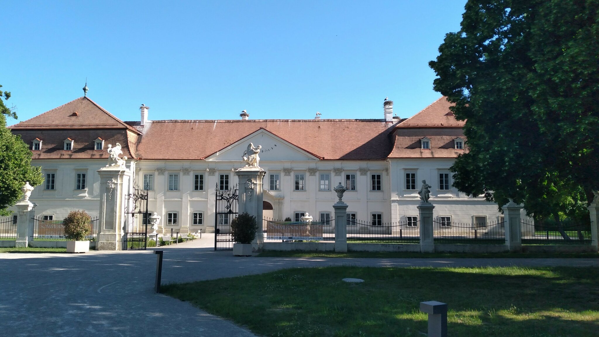Naturschutzgebiet Marchauen bei Marchegg: Storchenkolonie - Gänserndorf