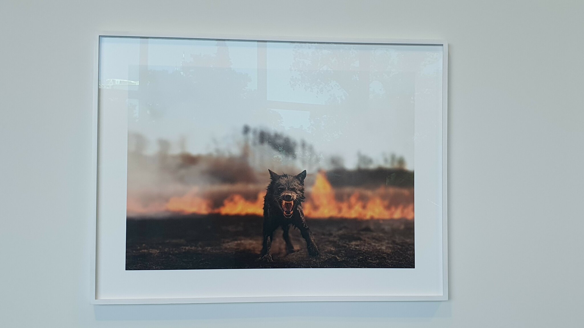 „Dog Days bite back“: Ausstellung von Umweltaktivist Oliver Ressler im ...