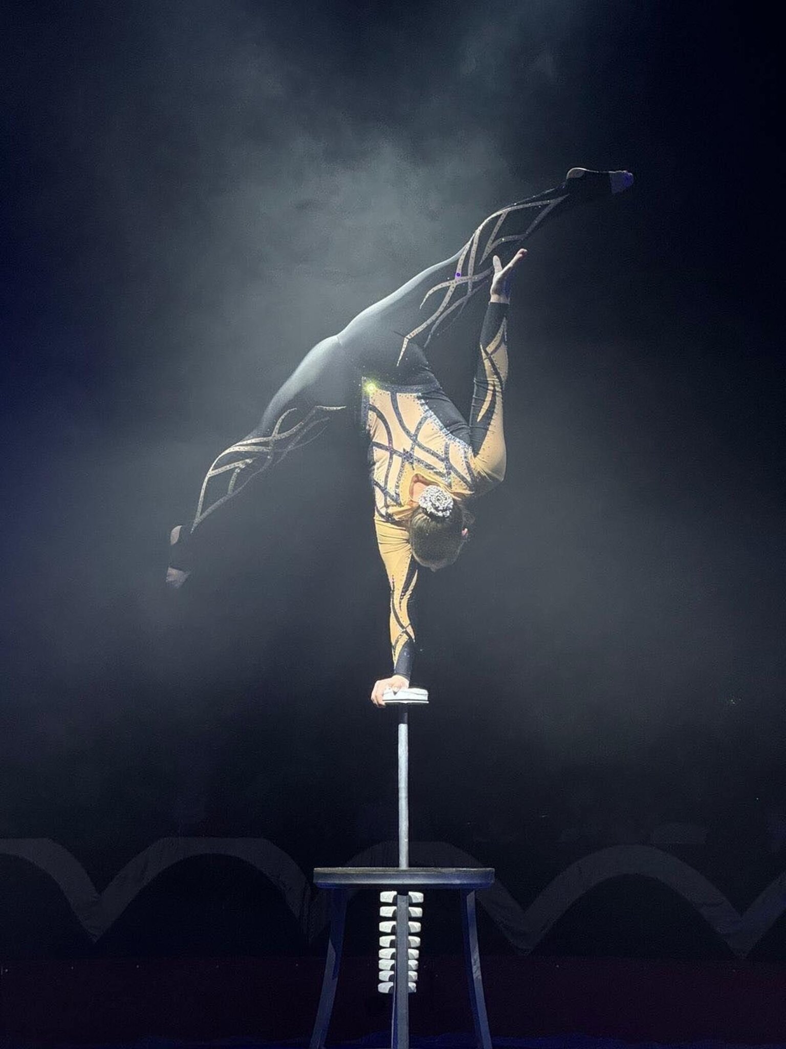 "Stars der Manege": Zirkus Alex Kaiser ab 30. Mai in Margareten ...