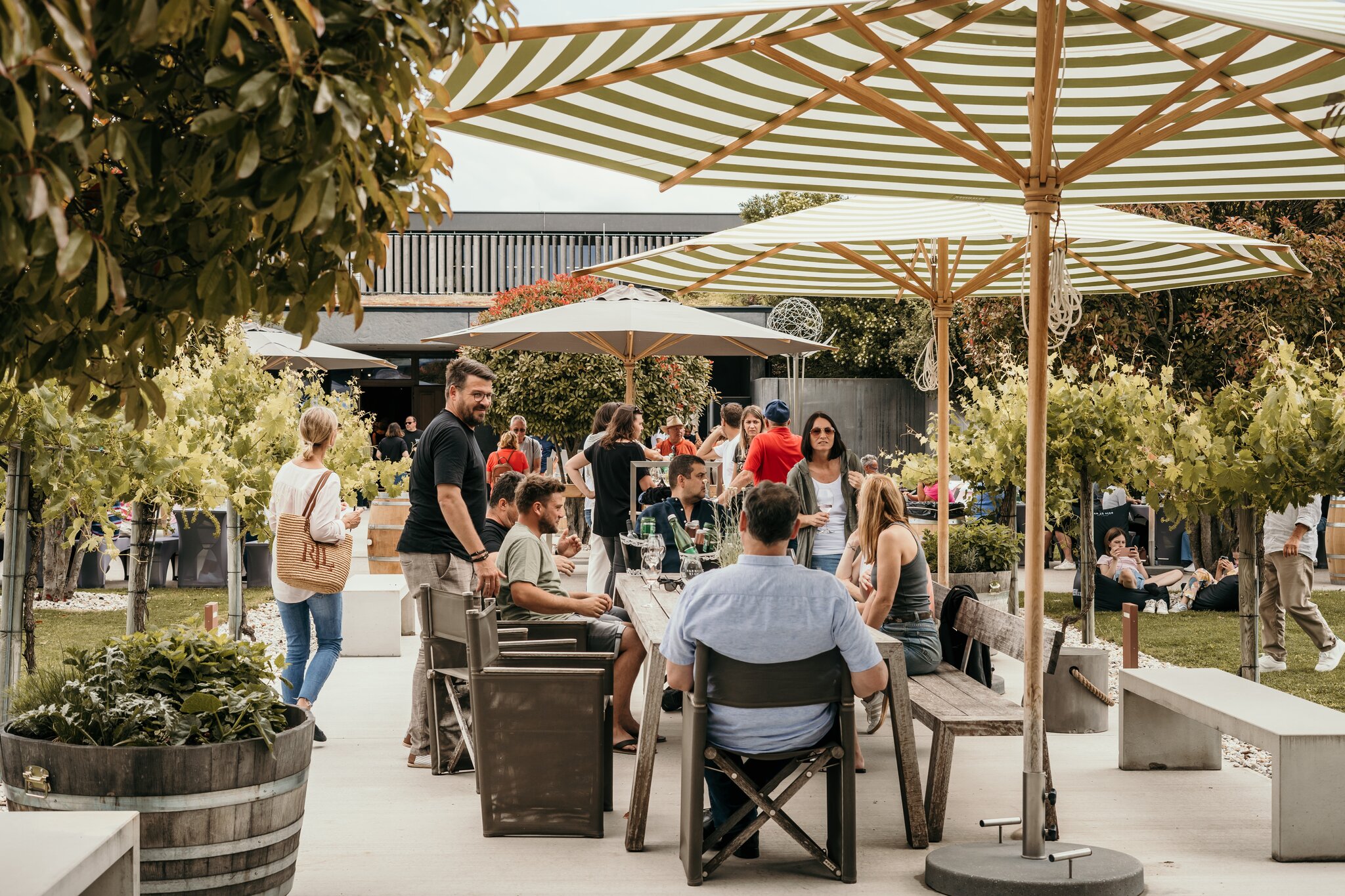 Saisoneröffnung: Weingut Hannes Reeh in Andau lud zum Hoffest mit ...